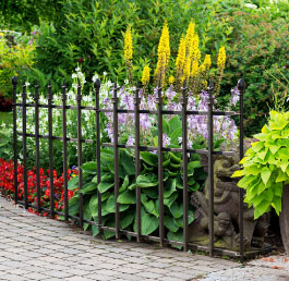 Panacea Products – Our Products