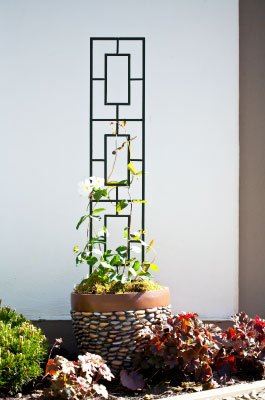 Panacea Products – Our Products