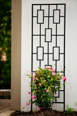 Panacea Products – Our Products