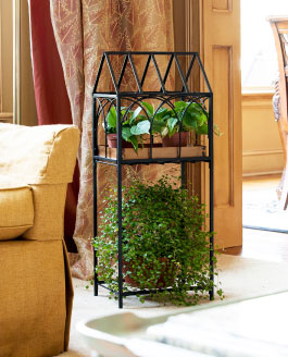 Panacea Products – Our Products