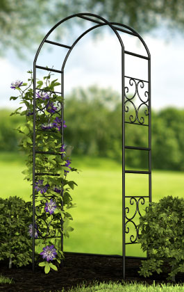 Panacea Products – Our Products